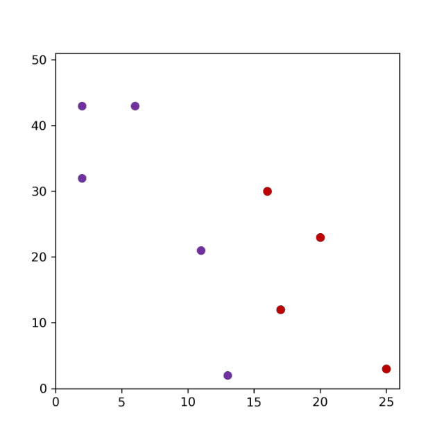 Perceptron Algorithm